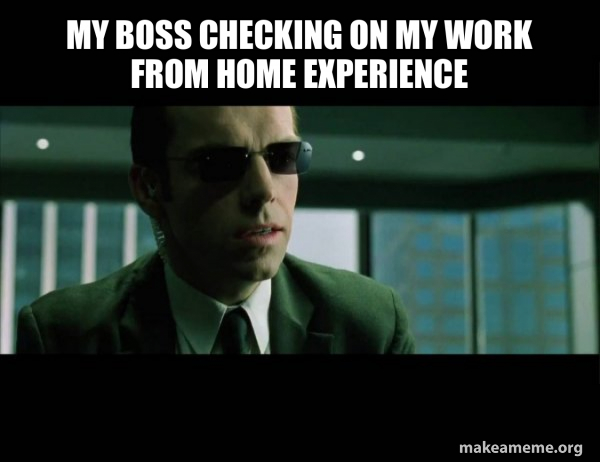 My boss checking on my work from home experience - Agent Smith from the ...