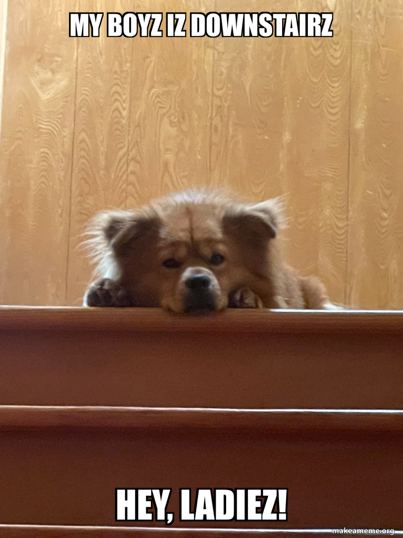 My boyz iz downstairz Hey, ladiez! Meme Generator