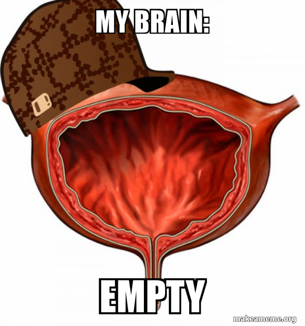 My Brain: EMPTY - Scumbag Bladder Meme Generator