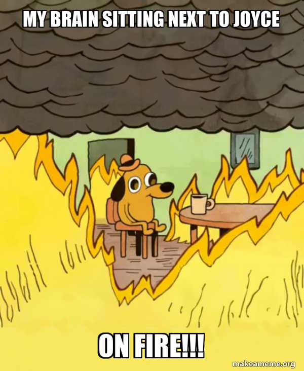 my brain sitting next to joyce on fire!!! - This Is Fine Meme Generator