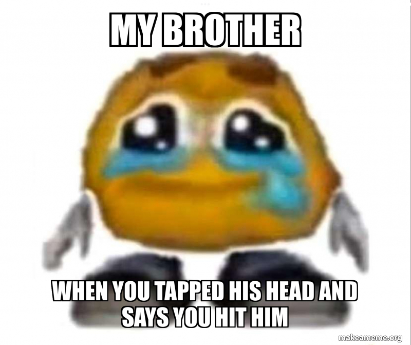 My brother When you tapped His head and says you hit him Meme Generator
