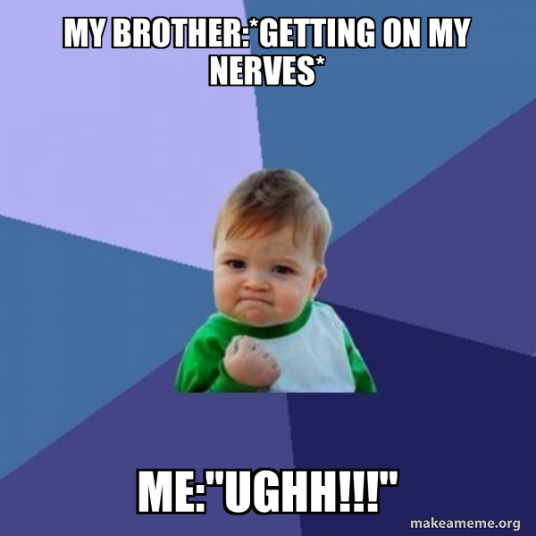My brother:*getting on my nerves* Me:"Ughh!!!" - Success Kid Meme Generator