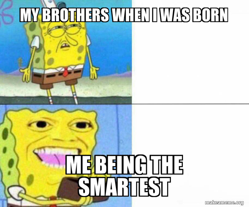 My brothers when I was born Me being the smartest Meme Generator