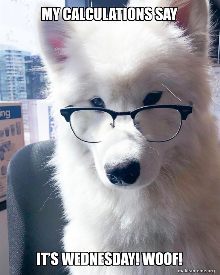 my calculations say it’s wednesday! woof! Meme Generator