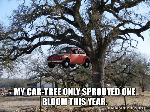 my car-tree only sprouted one bloom this year. Meme Generator
