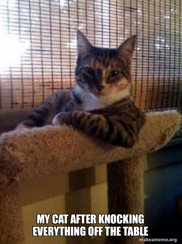My cat after knocking everything off the table - The Most Interesting ...