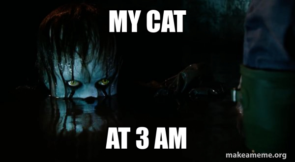 MY CAT AT 3 AM - Pennywise It Meme Generator