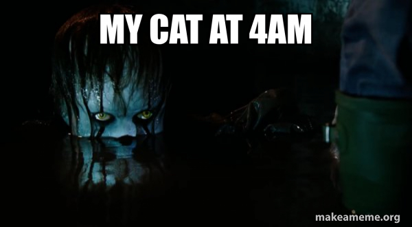 my cat at 4am - Pennywise It Meme Generator