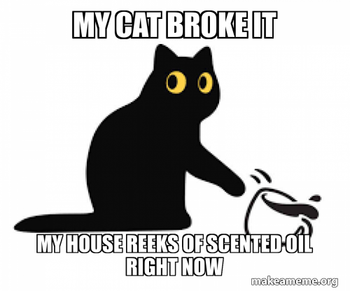 My cat broke it My house reeks of scented oil right now Meme Generator