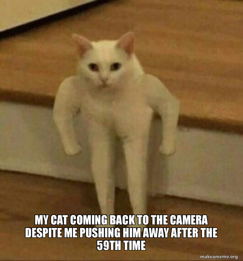 My cat coming back to the camera despite me pushing him away after the ...