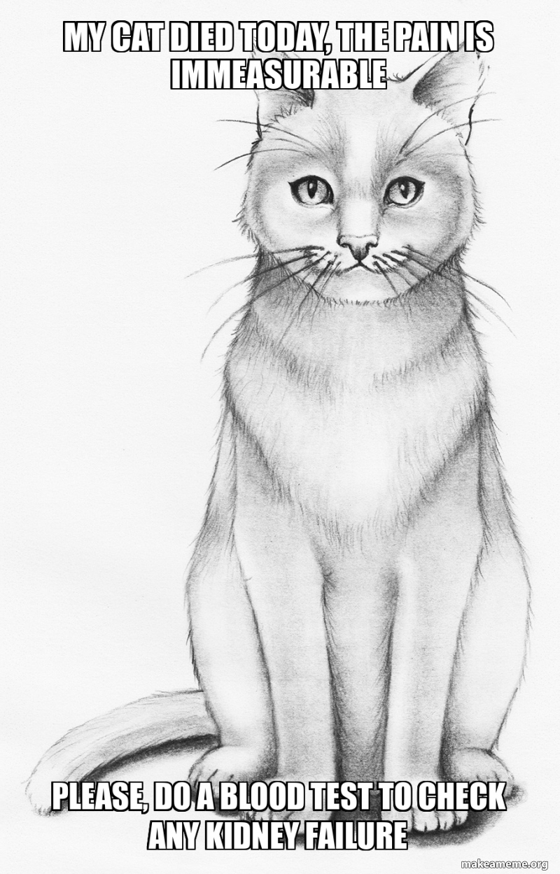 My cat died today, the pain is immeasurable Please, do a blood test to ...