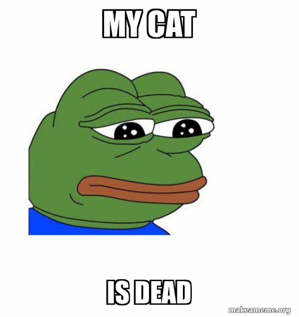 My cat Is Dead - Feels Bad Man Meme Generator