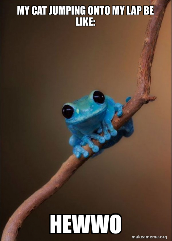 My cat jumping onto my lap be like: Hewwo - Small Fact Frog Meme Generator