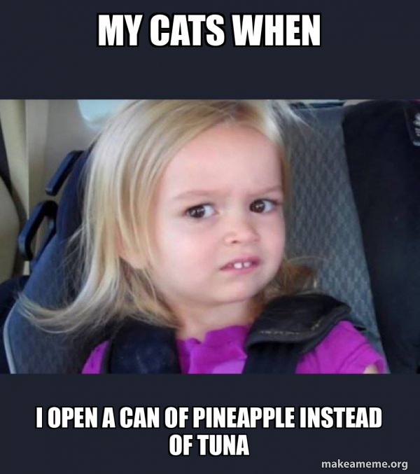 My Cats When I open a can of pineapple instead of tuna - Side-Eyes ...