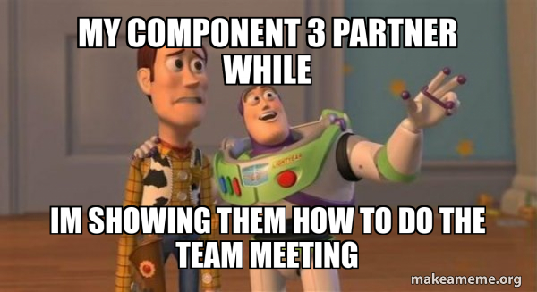 My component 3 partner while im showing them how to do the team meeting ...