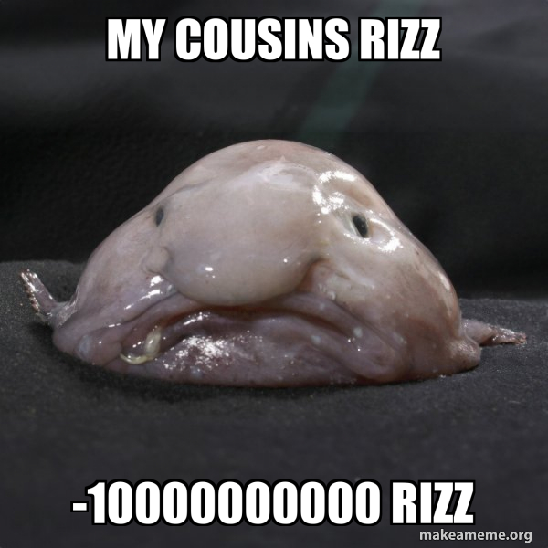 My cousins rizz -10000000000 rizz - Blobfish Meme Generator