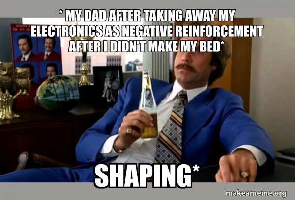 * my dad after taking away my electronics as negative reinforcement ...