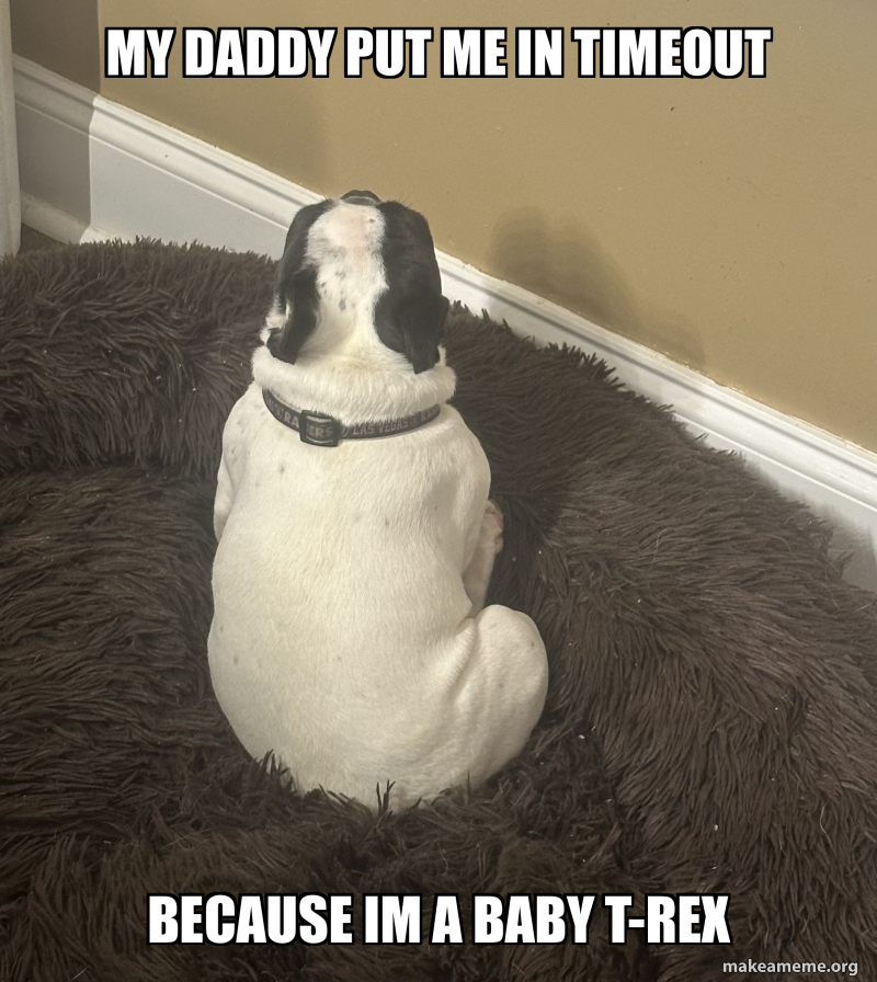 My Daddy put me in timeout Because im a baby T-rex Meme Generator