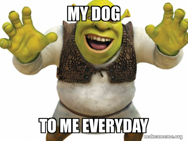 My Dog to Me Everyday - Shrek Meme Generator