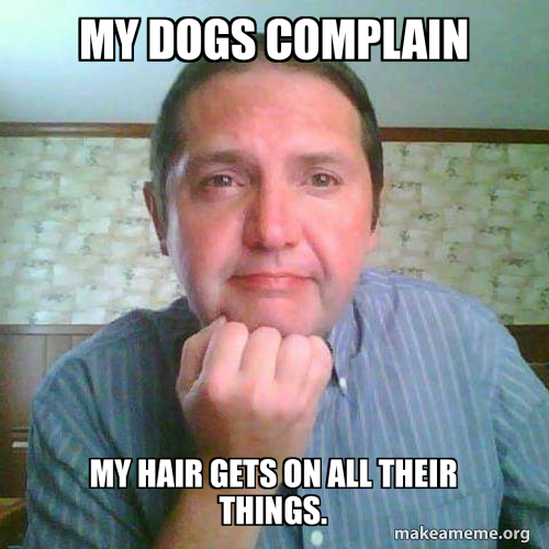 My DOGs complain My hair gets on all their things. Meme Generator