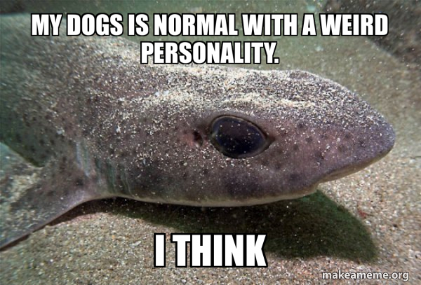 My dogs is normal with a weird personality. I THINK - Dirty Joke ...
