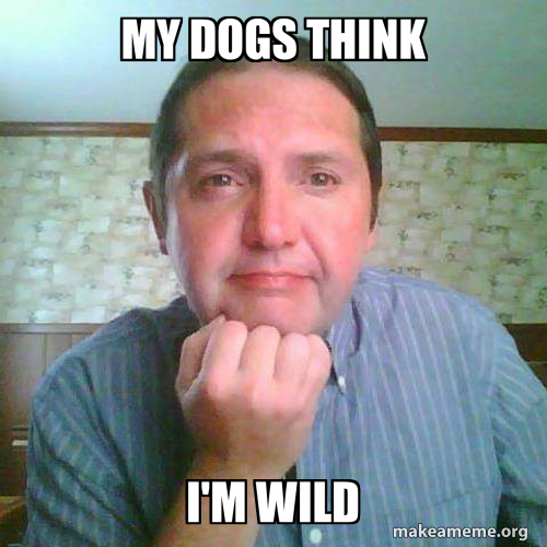 My DOGS think I'm wild Meme Generator