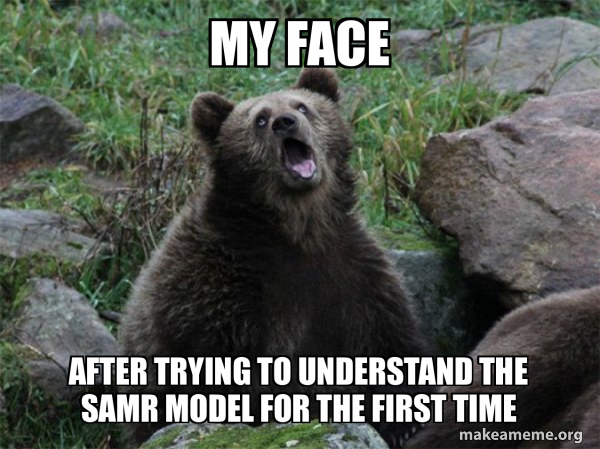 My face After trying to understand the SAMR Model for the first time - Sarcastic Bear Meme Generator