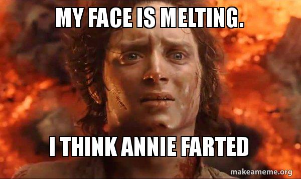 my face is melting. i think annie farted - Frodo it's over it's done ...
