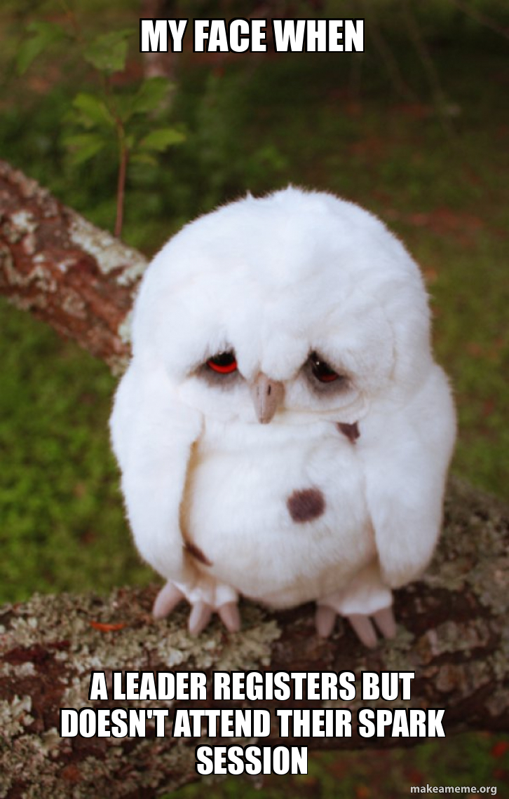 My face when a leader registers but doesn't attend their spark session ...