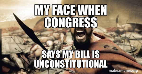 My face when Congress says my bill is unconstitutional - The 300 Meme ...