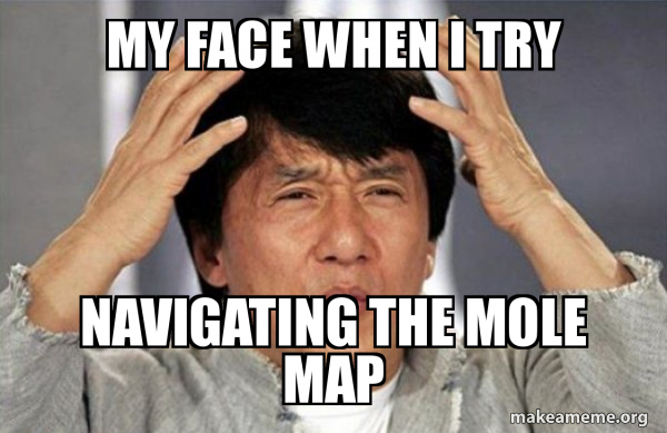 My face when I try navigating the mole map - Jackie Chan Why? Meme ...