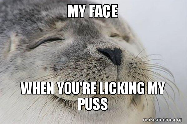 MY FACE when you're licking my puss - Satisfied Seal Meme Generator