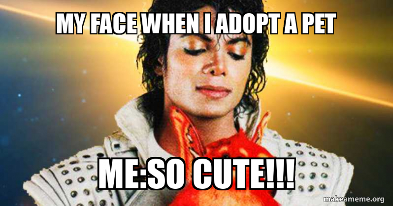 My Face When I Adopt A Pet ME:So Cute!!! - Pets Meme Generator