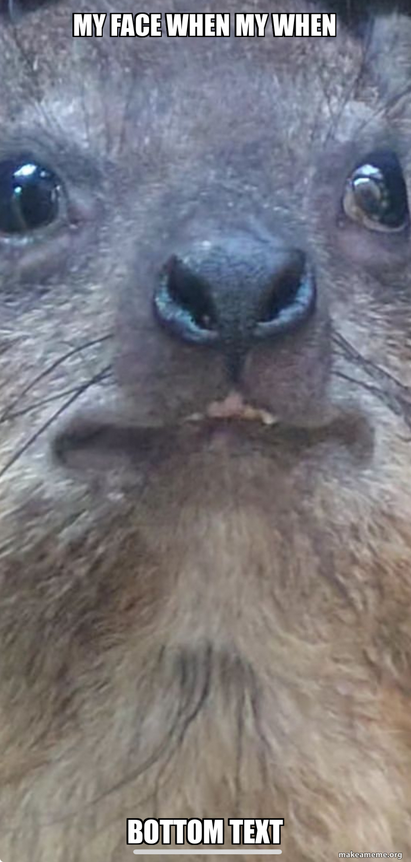 My face when my when Bottom text Meme Generator
