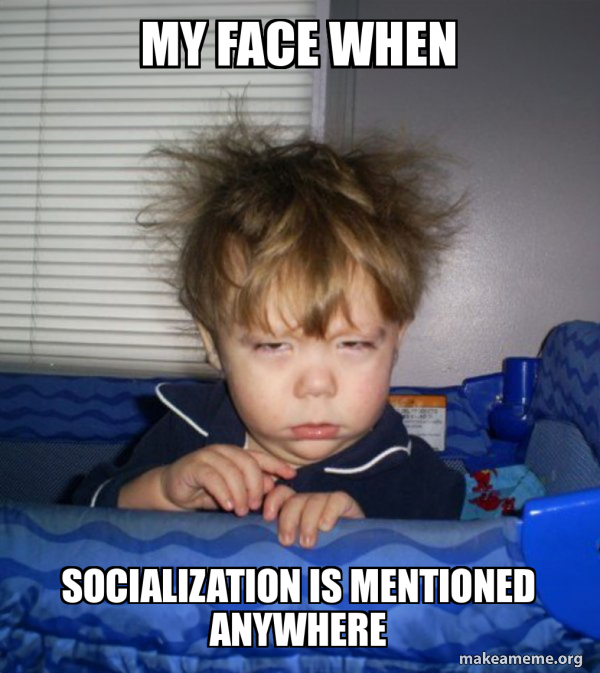 My face when Socialization is mentioned anywhere - Monday Mornings Meme ...