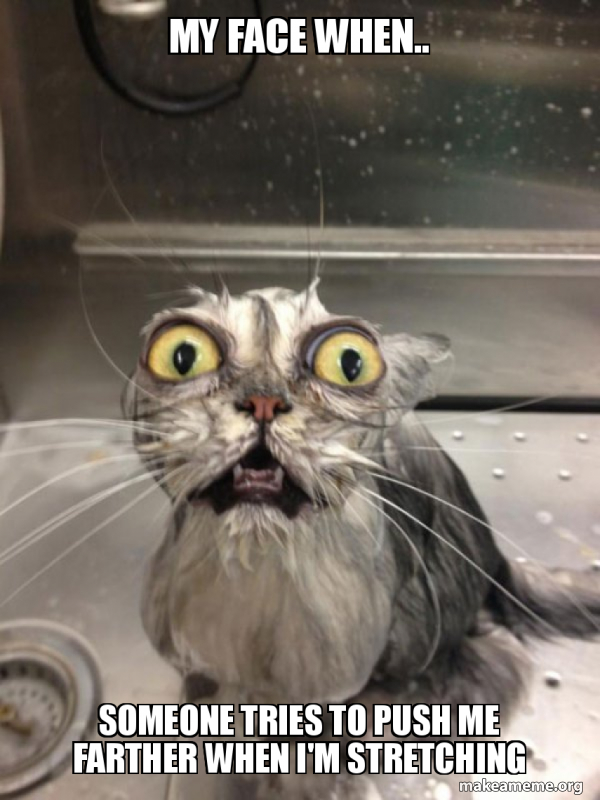 Stretch Face Meme Face Stretch GIFs | Tenor