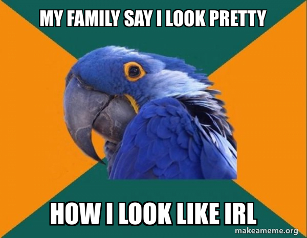 my family say I look pretty how I look like irl - Paranoid Parrot Meme ...