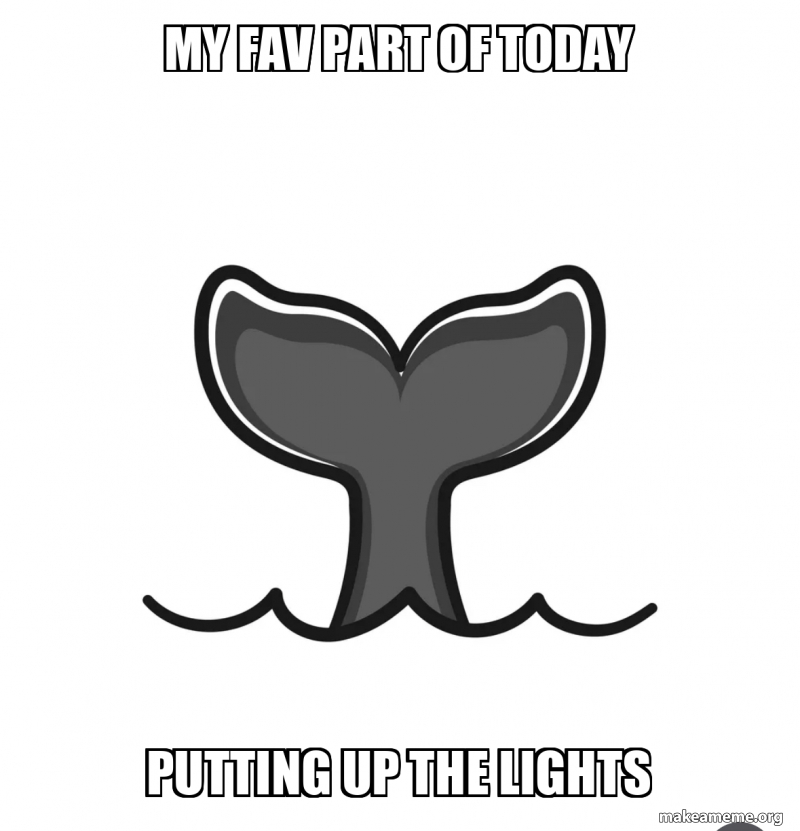 My fav part of today Putting up the lights Meme Generator