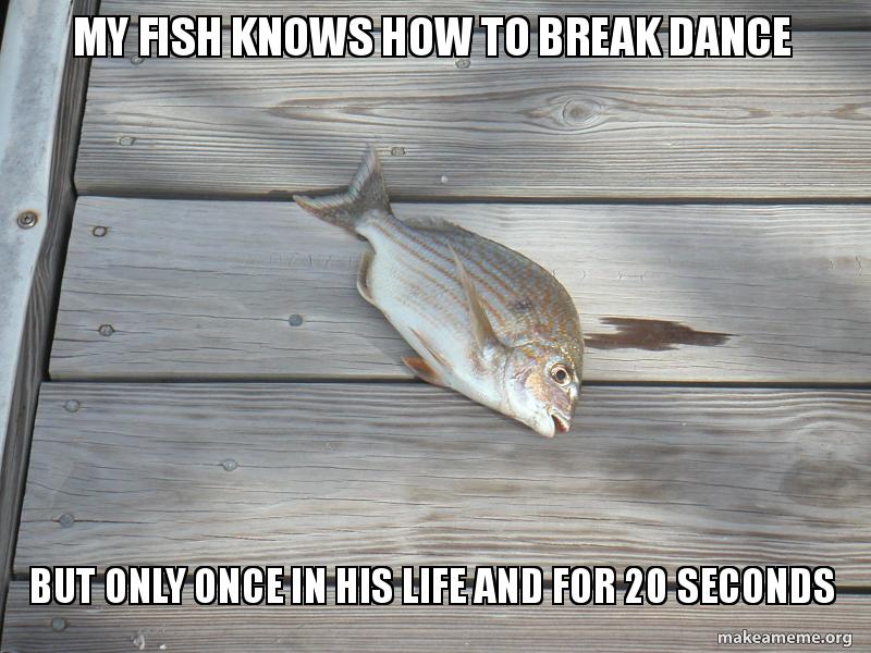 my fish knows how to break dance but only once in his life and for 20 ...