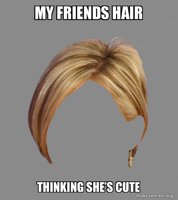 My friends hair Thinking she’s cute - The Karen Hair Meme Generator