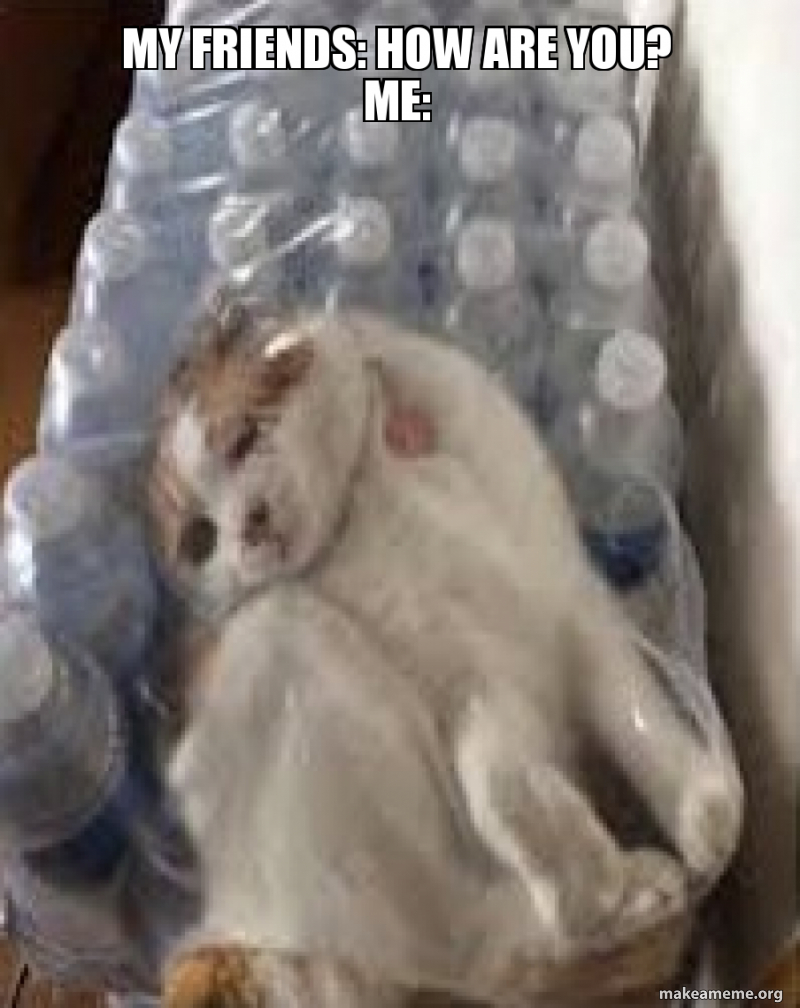 my friends: how are you? Me: Meme Generator
