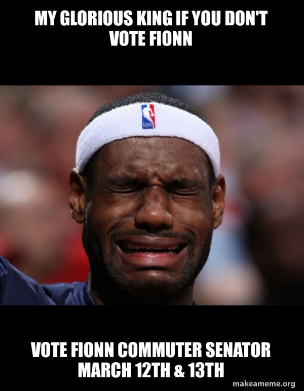 My Glorious King If You Don't Vote Fionn Vote Fionn commuter senator ...