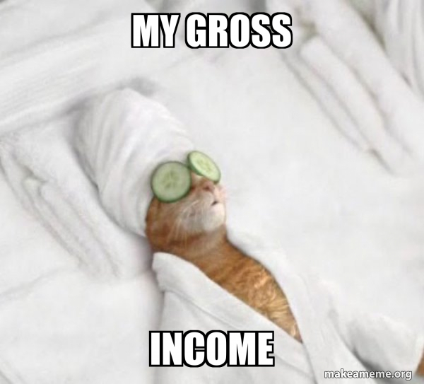 My gross Income - Pampered Cat Meme Meme Generator