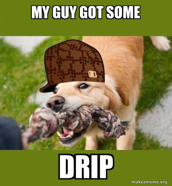 my guy got some DRIP - Scumbag dog Meme Generator