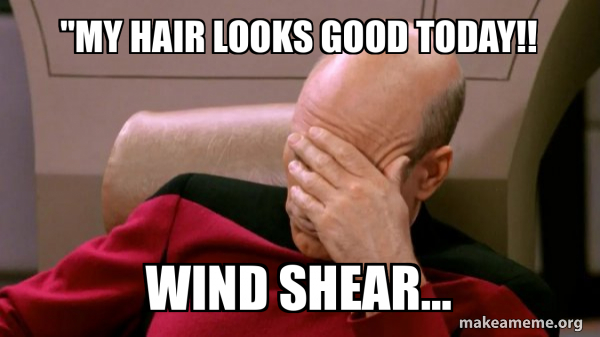 "my hair looks good today!! wind shear... - Picard Facepalm Meme Generator