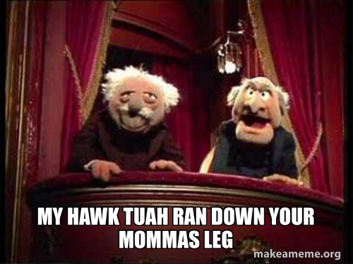 my hawk tuah ran down your mommas leg Meme Generator