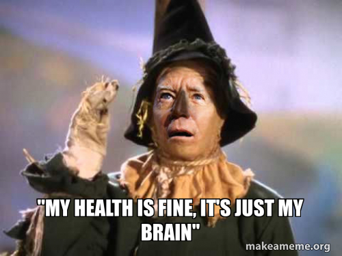 "my health is fine, it's just my brain" Meme Generator