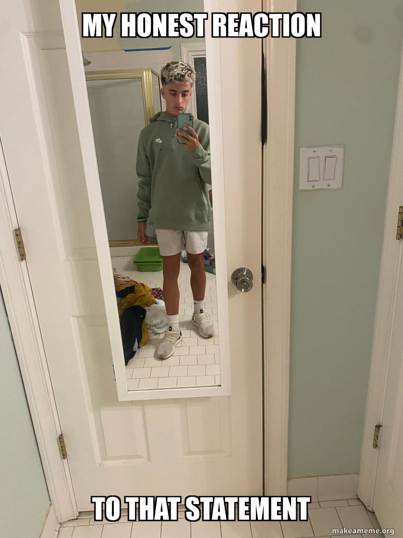 my honest reaction to that statement Meme Generator