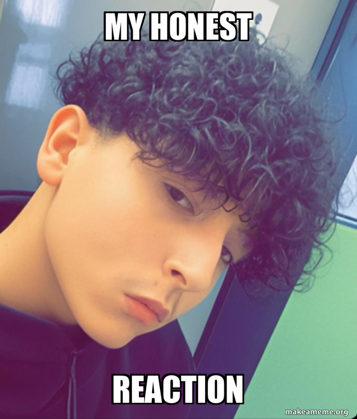 My honest Reaction Meme Generator