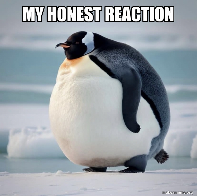 My honest REACTION Meme Generator